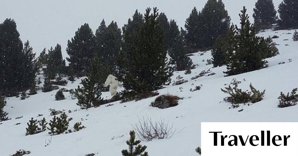 'Yeti' caught on camera at European ski resort