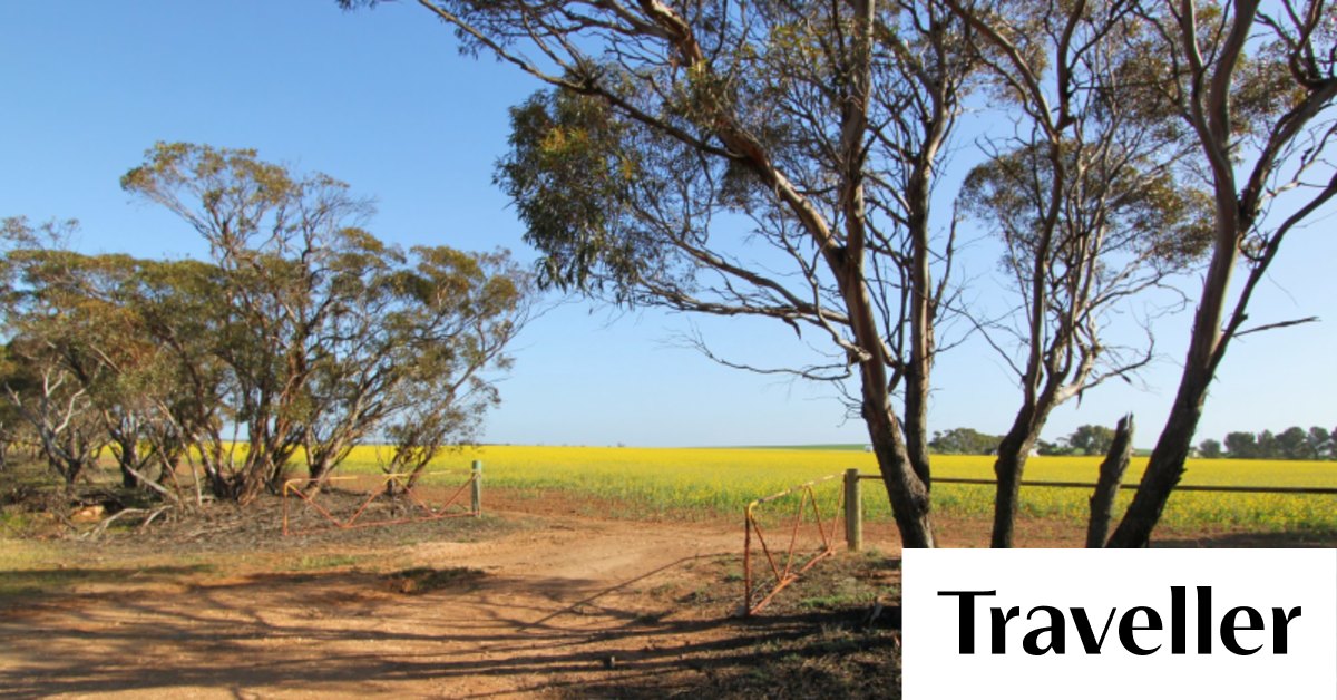 Pinnaroo, South Australia: Travel guide and things to do