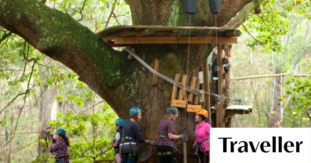 Belgrave, Victoria: Travel guide and things to do