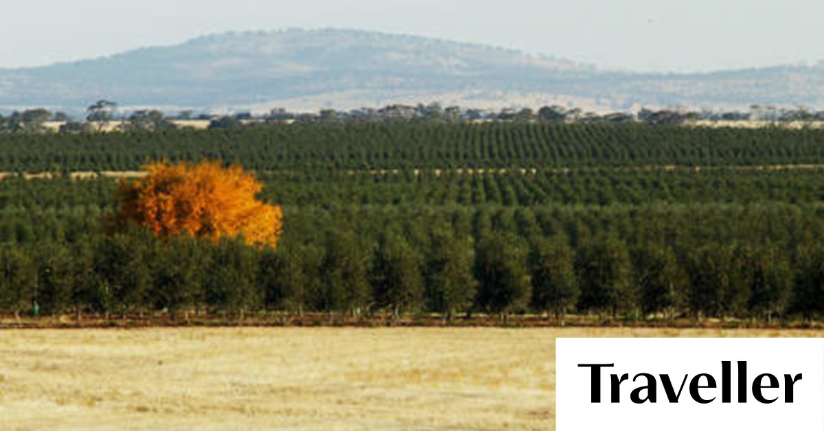 Boort, Victoria: Travel guide and things to do