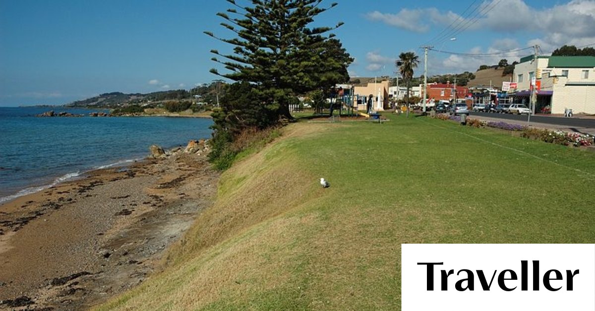 Penguin, Tasmania: Travel guide and things to do