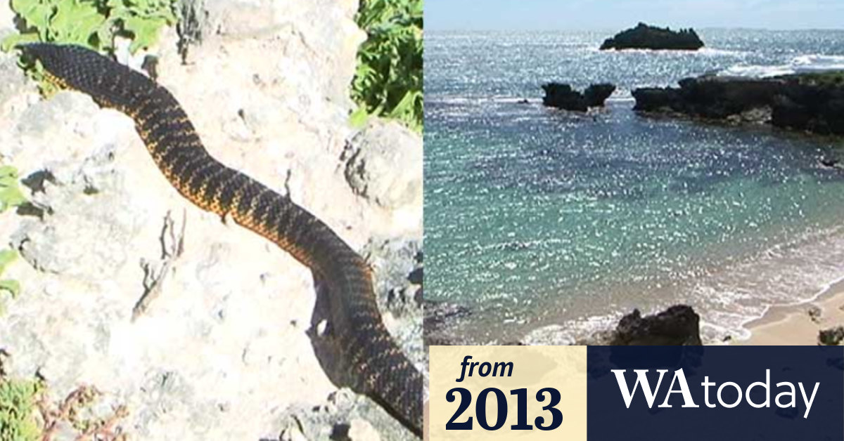 Video: WA's mystery snake island