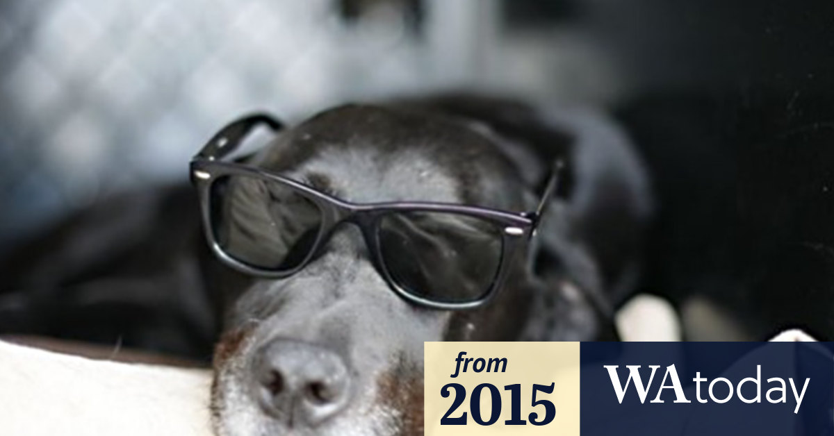 Video: WAtoday news in 90 seconds Friday July 31