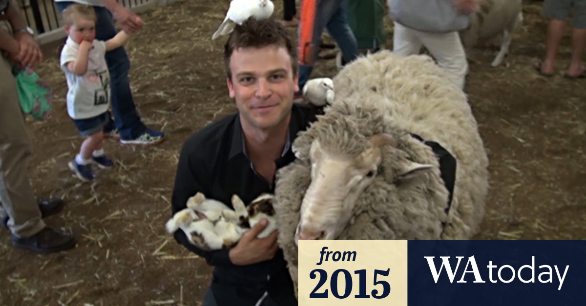 Video: Perth Royal Show: animals galore