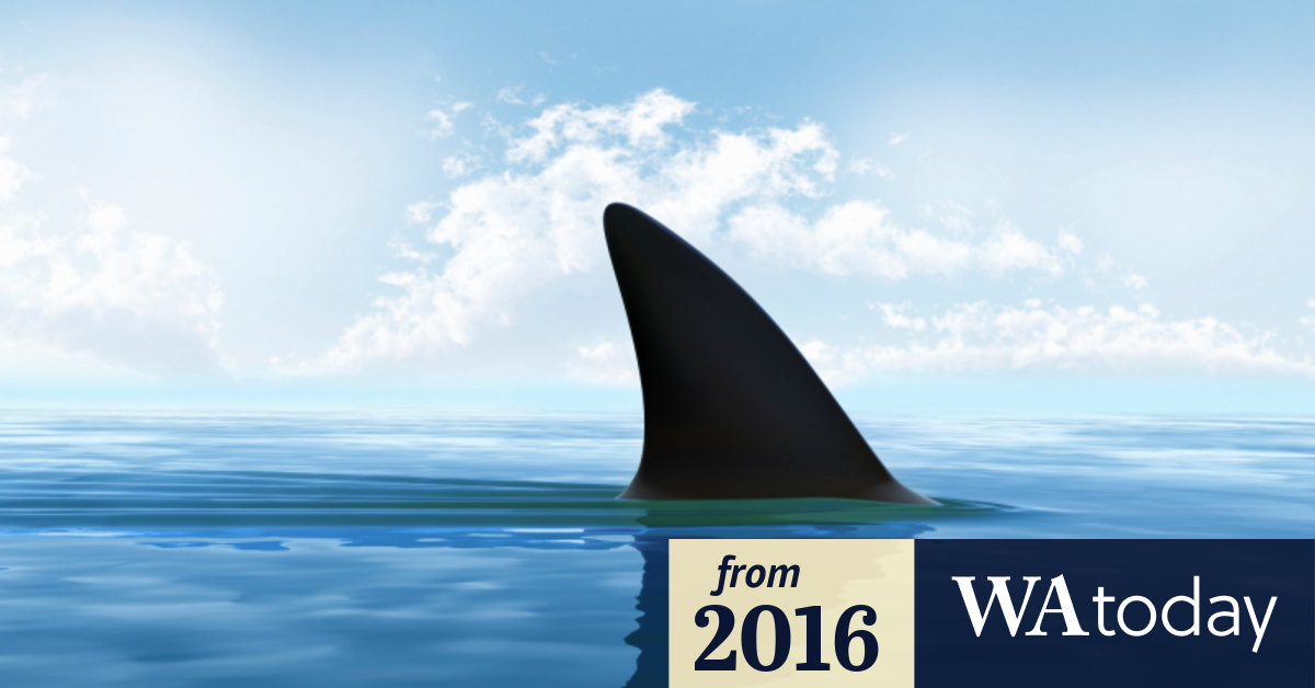 Brighton, Scarborough and Trigg beaches closed due to shark sighting