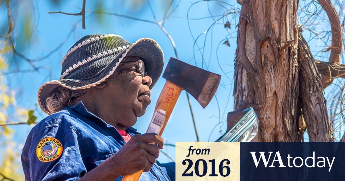 Meet the Indigenous rangers keeping our country healthy