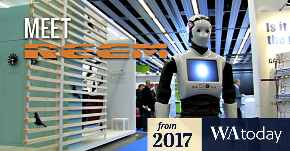 Video: REEM : Full-size humanoid service robot