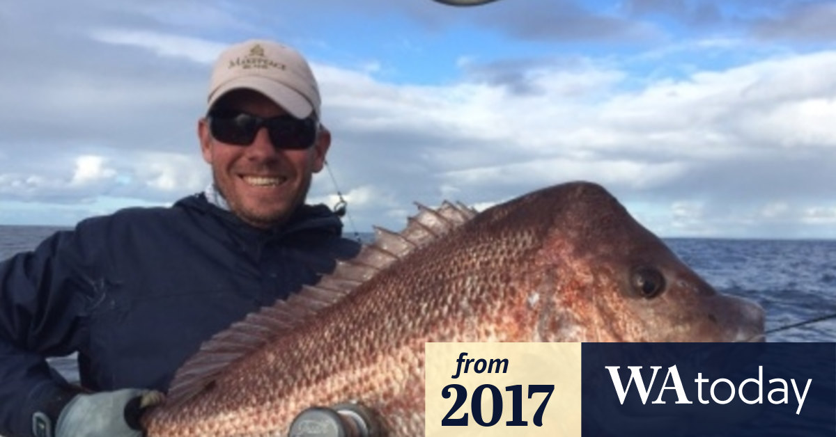 Snap back: 'Spiraling vortexes' of pink snapper a welcome sight off ...