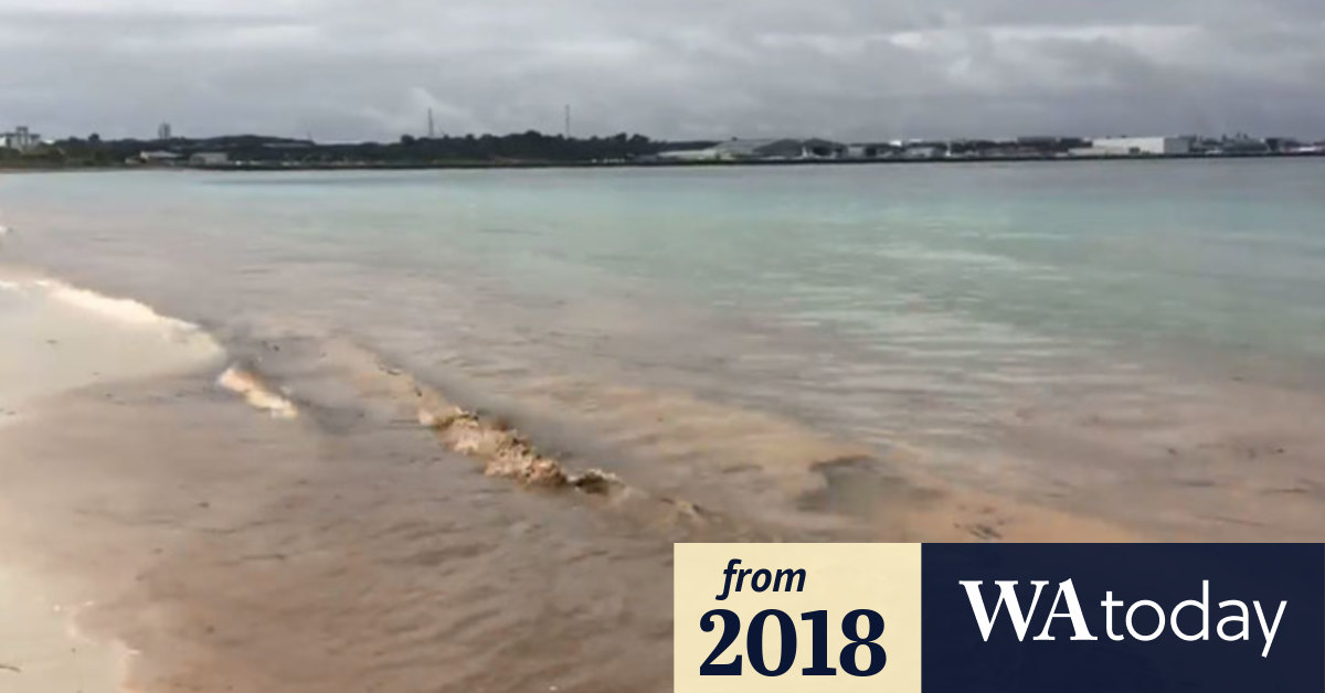 Video: Jervoise Bay, just near Woodman Point on Wednesday