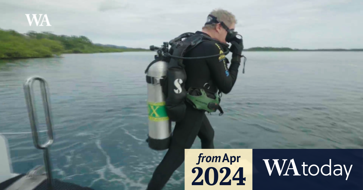 Video: Andrew Forrest investigates WWII plane wrecks around Papua New ...