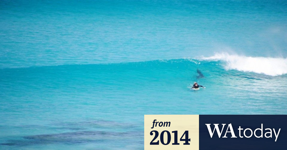 Stunning photos emerge of surfer's Esperance shark encounter