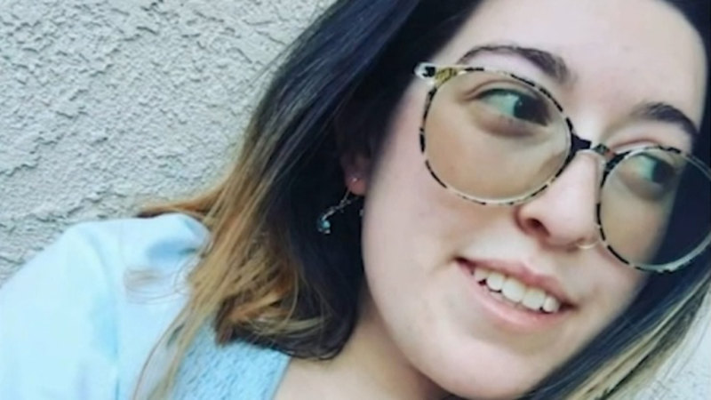 New pictures emerge of deadly air show collision as investigators probe ...