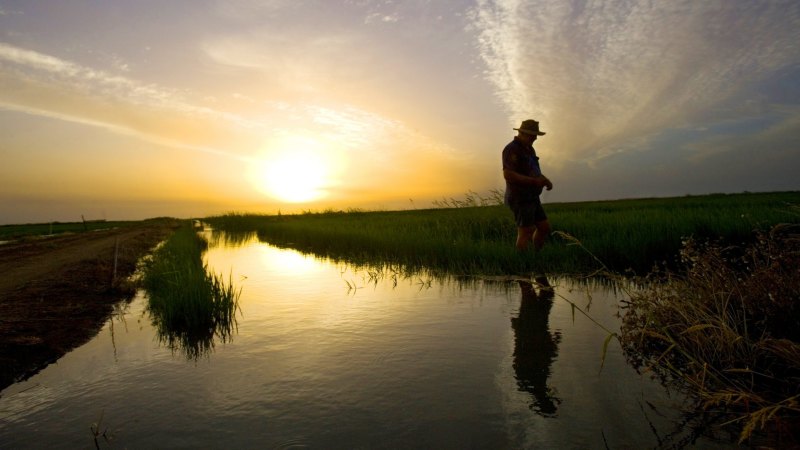 Decision on water-theft prosecutions within days, WaterNSW says