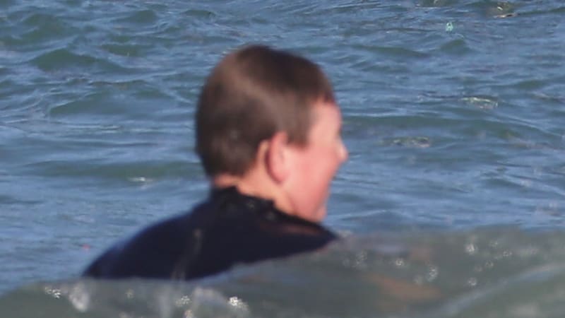 'Mullet run' in full effect as fish make their way north