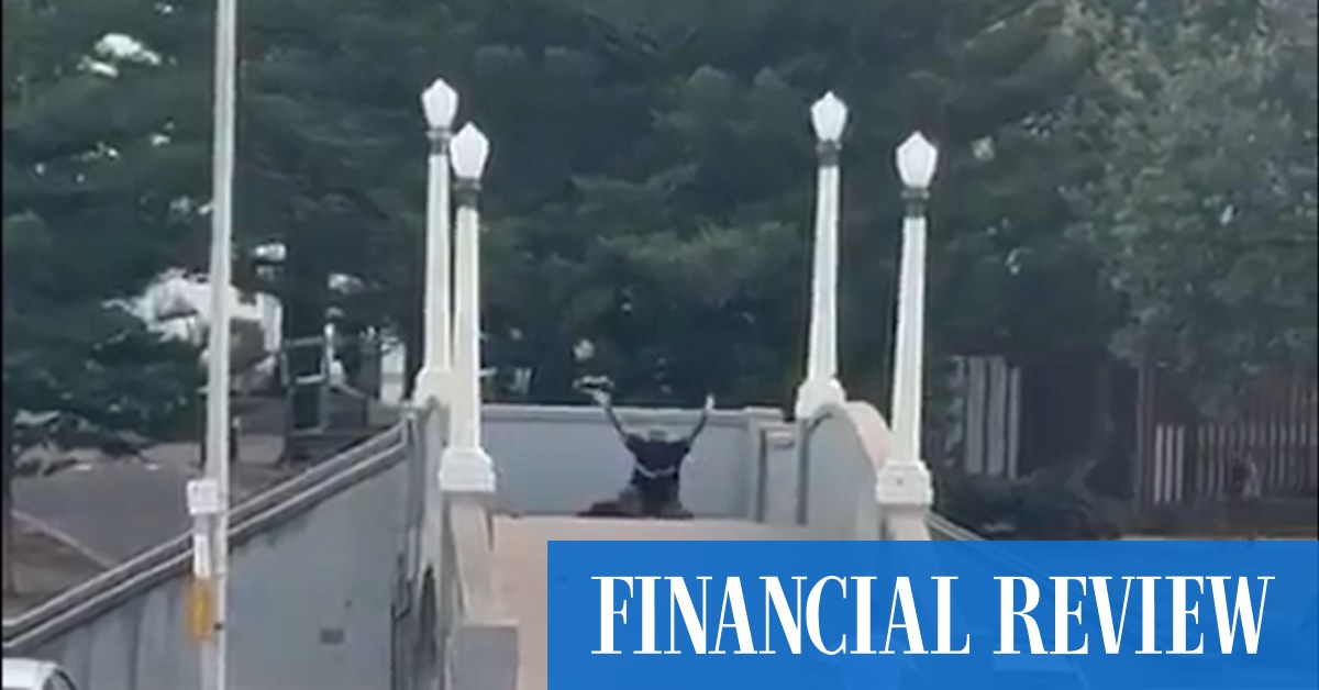 Bondi shooting: Chaos on the bridge after gunmen are subdued
