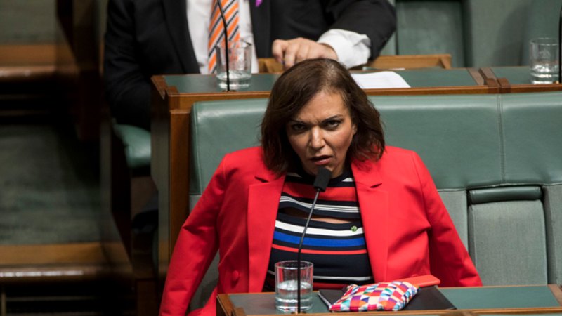 Anne Aly to verify citizenship