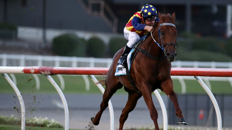 Gifted Melbourne sprinter Nature Strip to miss Inglis Sprint