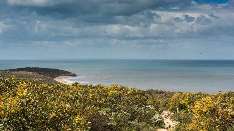 Six reasons to visit Anglesea
