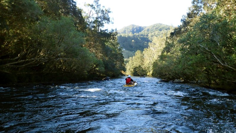Woman drowns while kayaking with family on NSW Mid North Coast