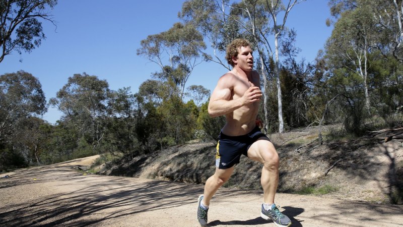 Brumbies flanker David Pocock returning to full training on Monday