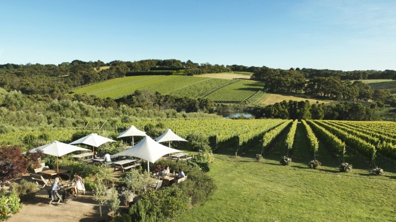 Red Hill Victoria Travel guide and things to do