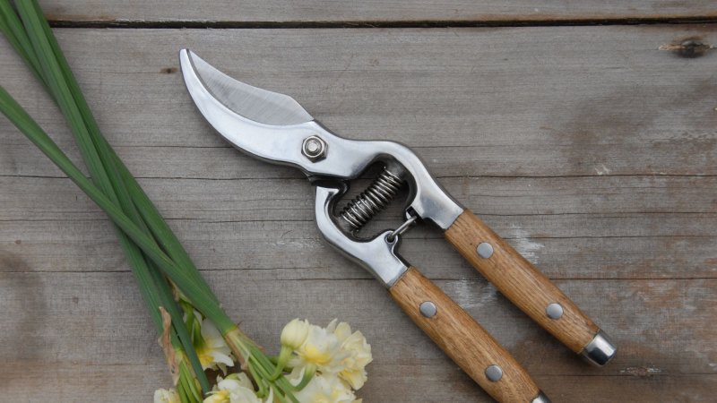 Savvy shopper: The latest in stylish gardening products