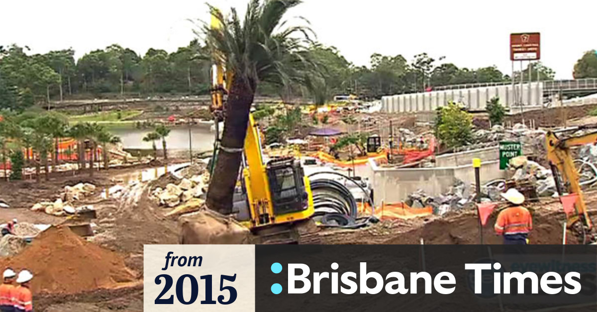 Video: 'Captain Cook' tree planted at Mt Coot-tha