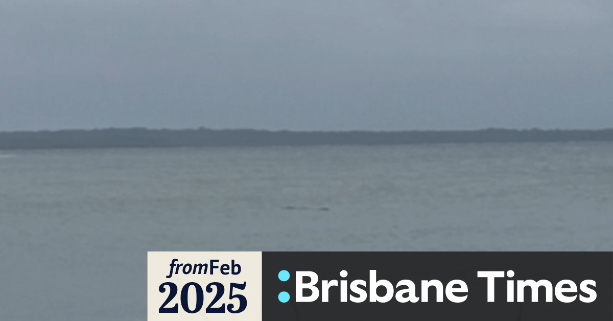 Video: Rangers want to trap a crocodile seen at Inskip Point in Queensland