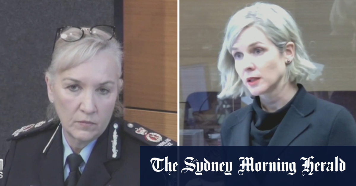 Video: Allegations of 'deeply disturbing' behaviour aired at police inquiry