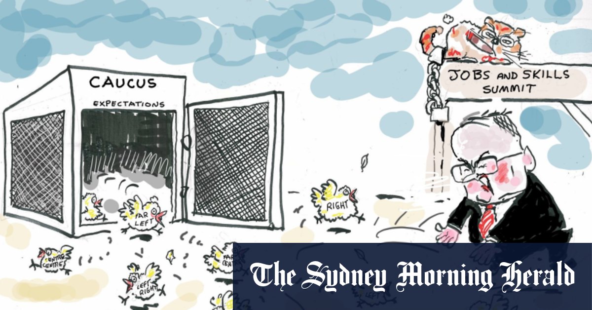 Best of cartoons, August 27, 2022