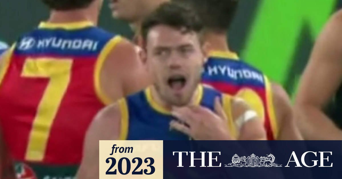 Video: AFL Tribunal confusion