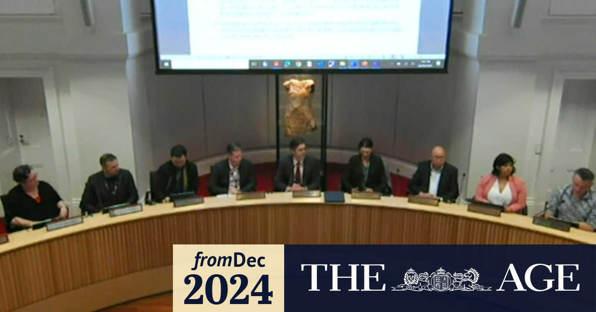 Video: Lord Mayor Nick Reece declares he will not take donations from ...