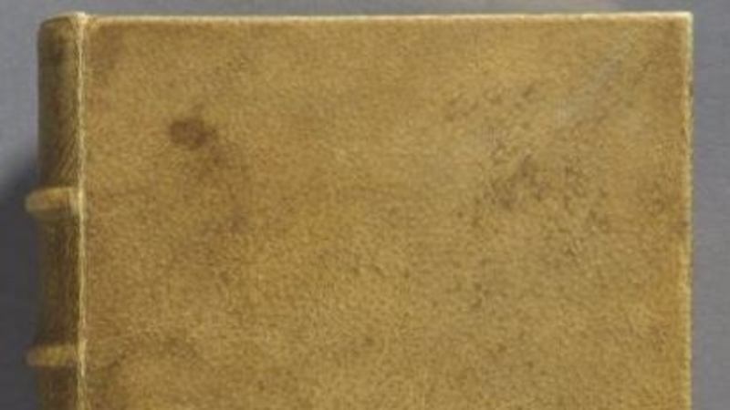 Harvard confirms book bound in human skin