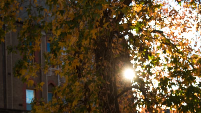 Micheline Lee interview: The struggle with religious convictions in her ...