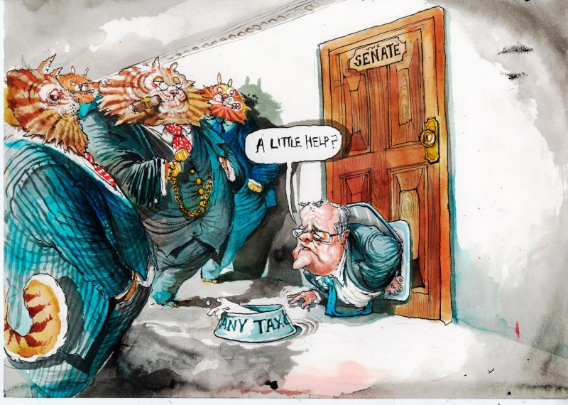 David Rowe's cartoons