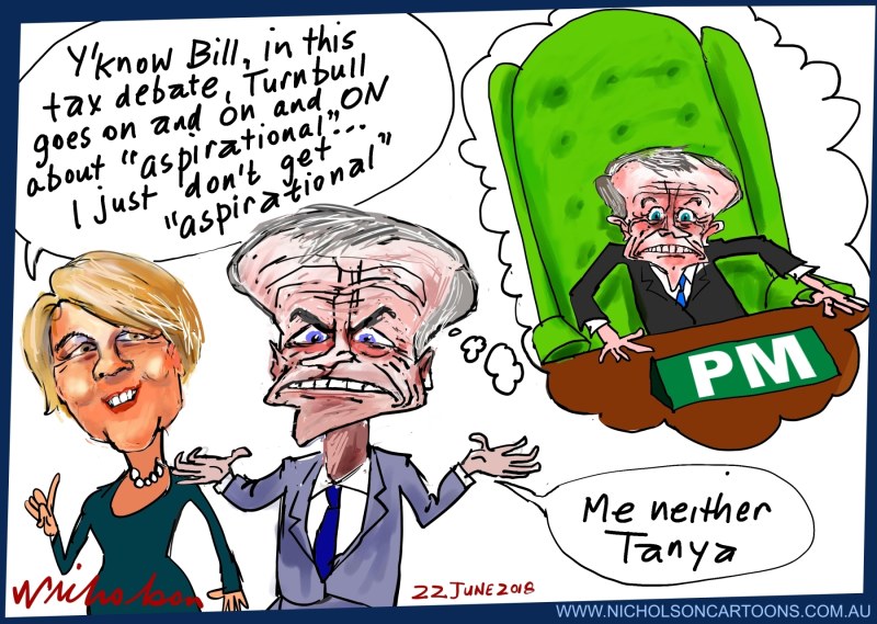 Peter Nicholson's cartoons