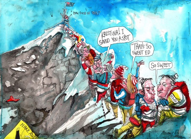 David Rowe cartoons