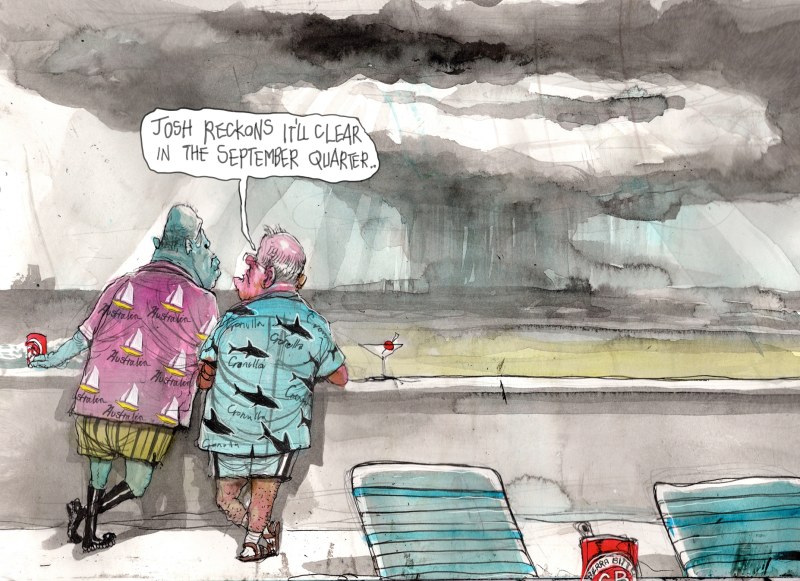 David Rowe cartoons