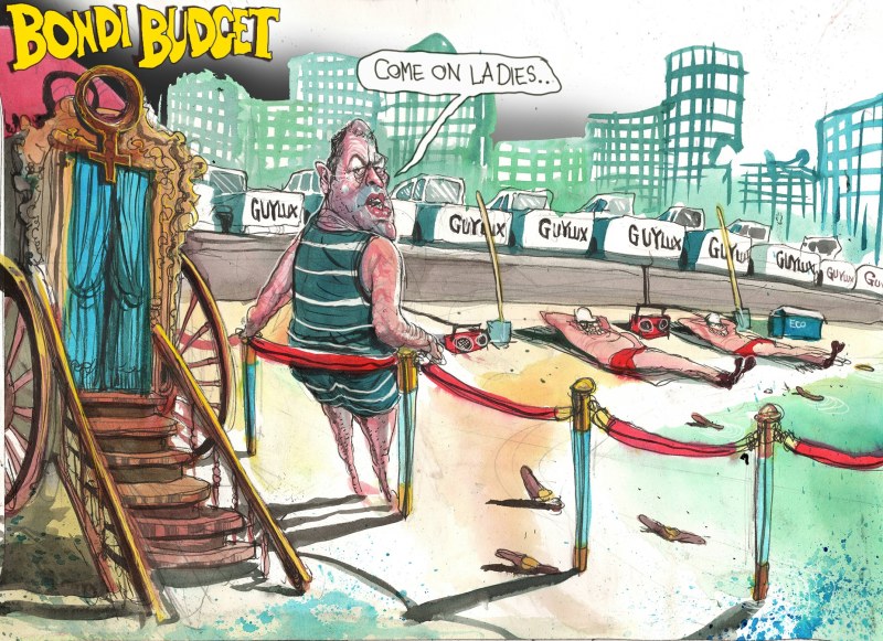 David Rowe cartoons