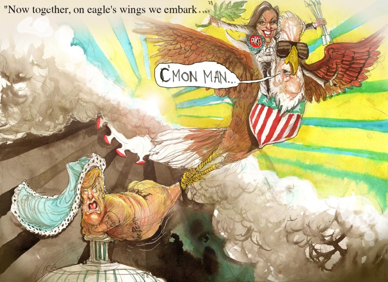 David Rowe cartoons