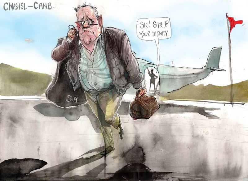 David Rowe cartoons