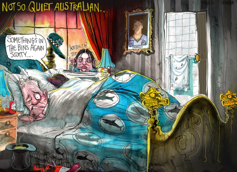 David Rowe cartoons