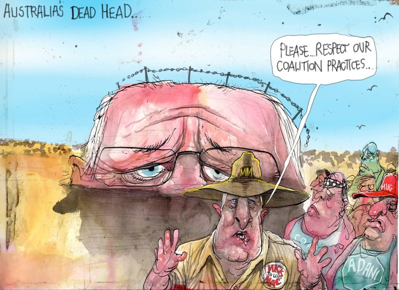 David Rowe cartoons