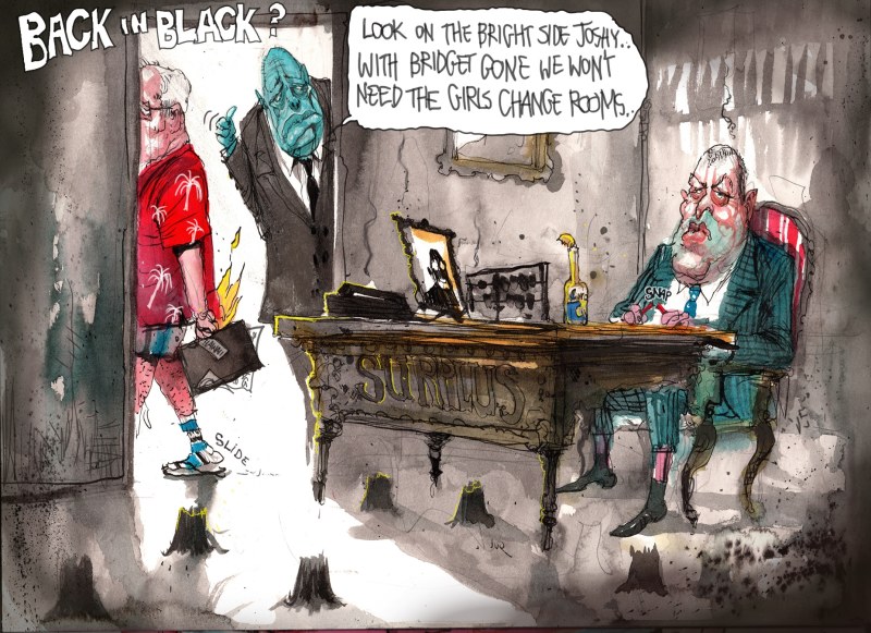 David Rowe cartoons