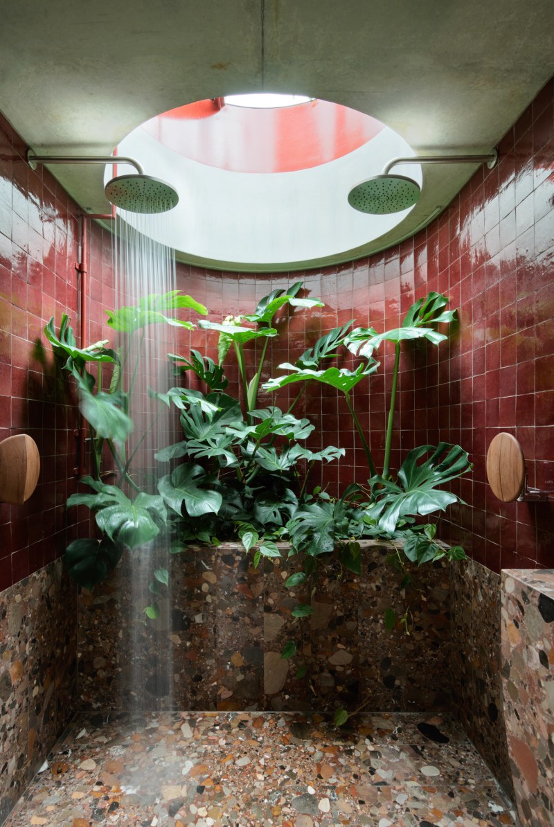 First look at the Surry Hills home of architect Adam Haddow