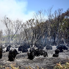 Perth fires LIVE: Bushfire emergency as city in the grip of a heatwave