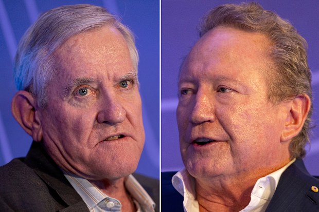 Mining Summit: Andrew Forrest cops extraordinary spray from former resources minister Ian Macfarlane