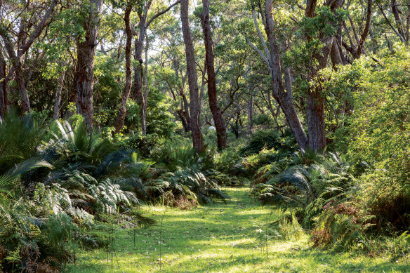 Inside the architect's garden: Natural bush is the defining element