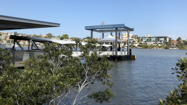 New Farm Park ferry terminal will be closed for up to five months