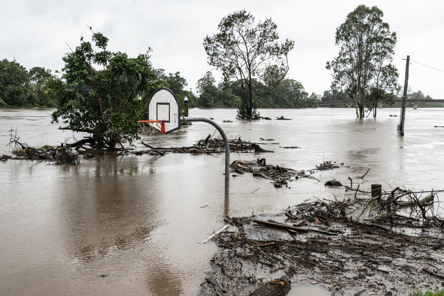Cyclone Alfred in pictures: erosion, floods, rain and wind
